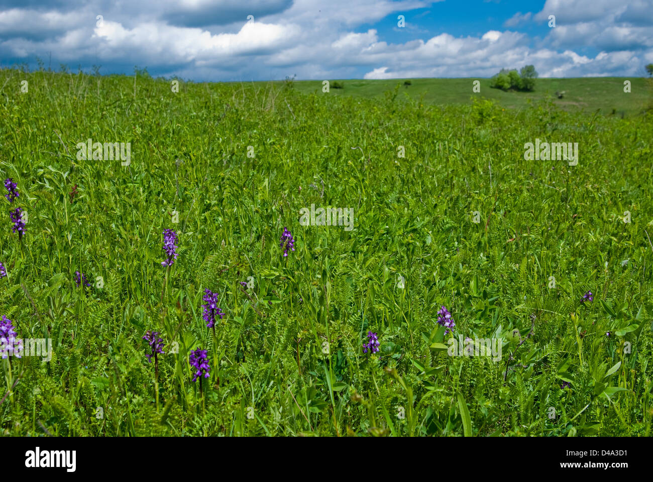 Nature landscape in springtime Stock Photo - Alamy