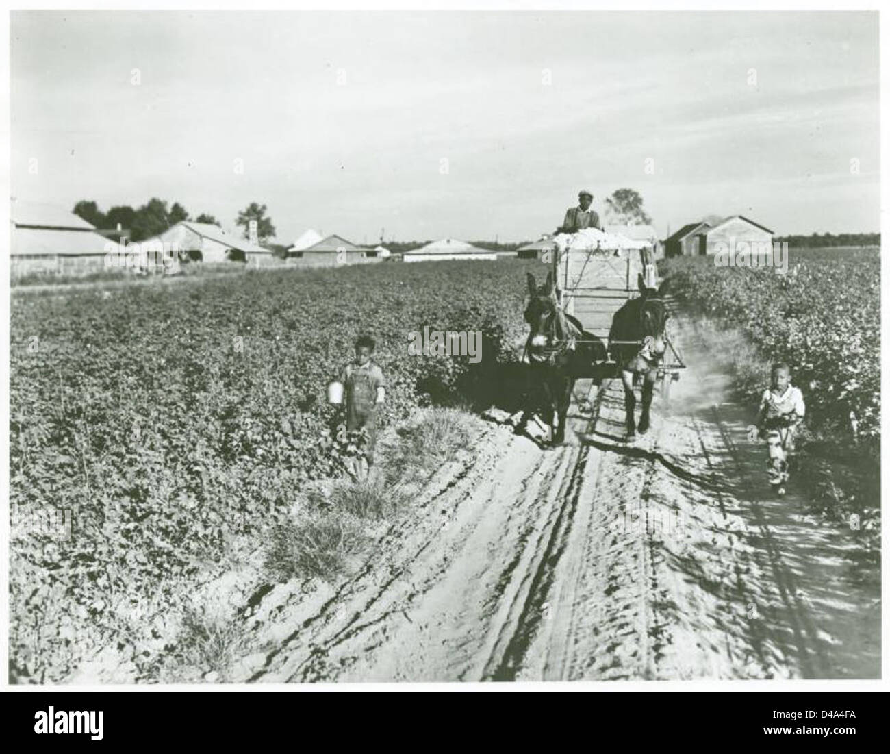 Cotton wagons hi-res stock photography and images - Alamy