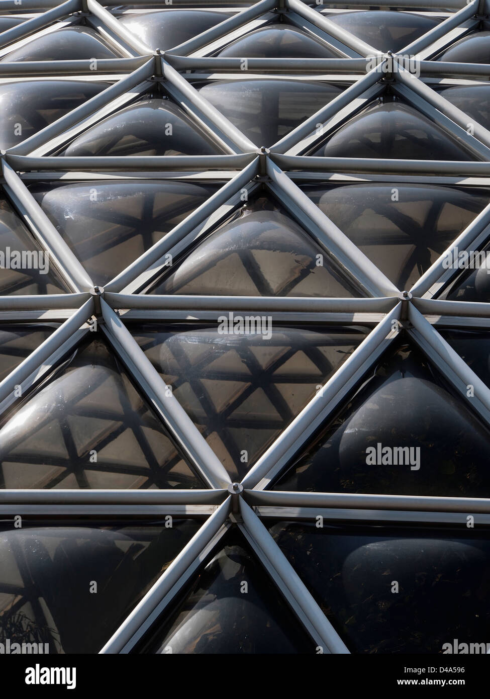 ROOF DETAIL OF TROPICAL DOME BRISBANE MT COOT-THA BOTANICAL GARDEN ...