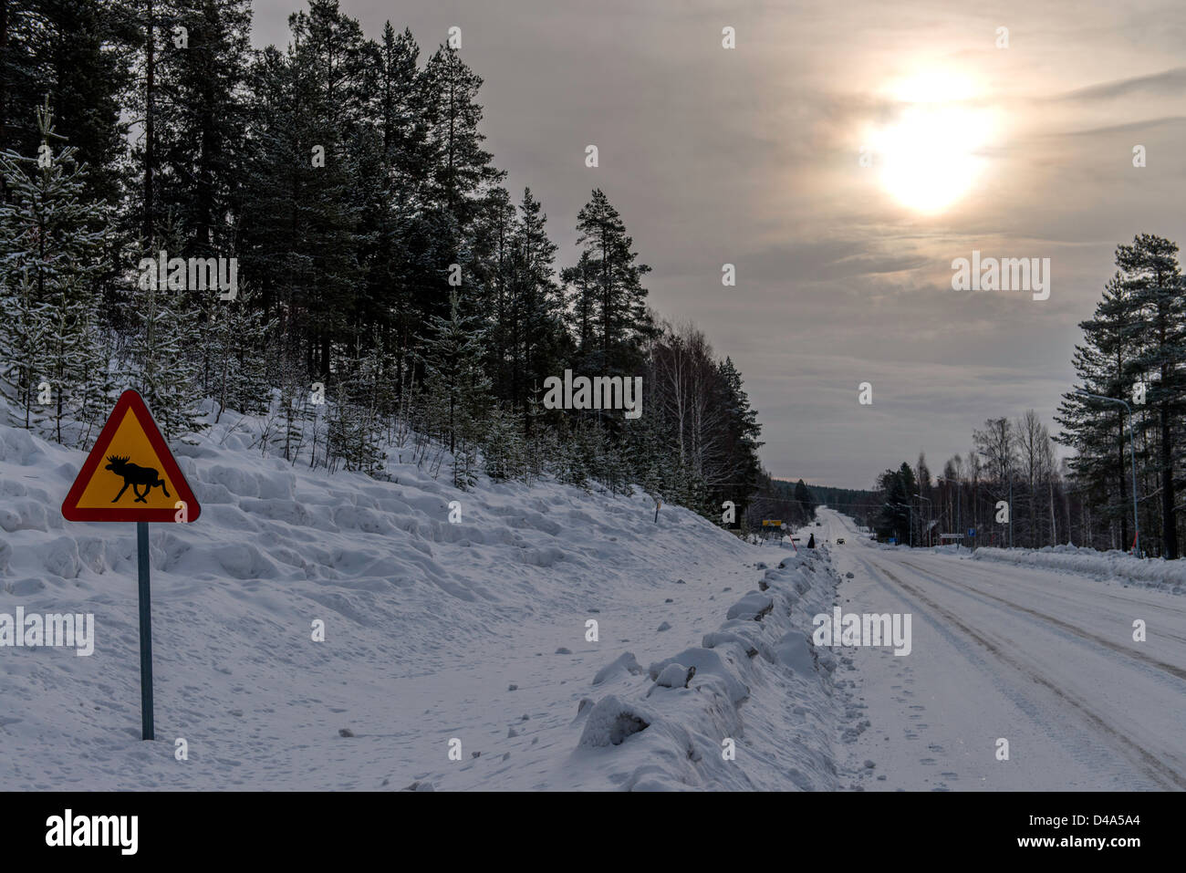 Warning sign moose crossing Lapland Sweden Scandinavia Stock Photo - Alamy