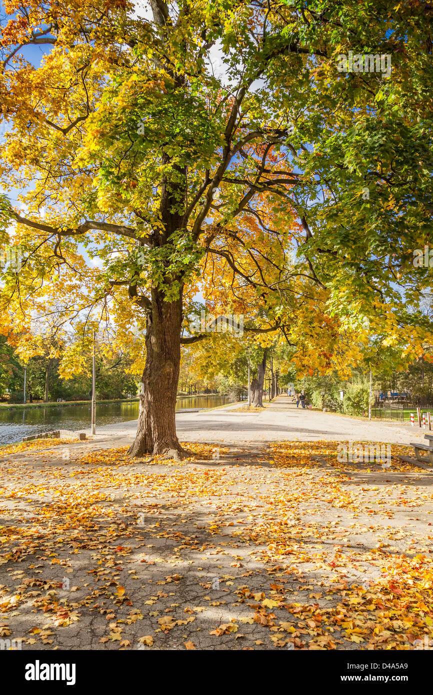 Branchy High Resolution Stock Photography and Images - Alamy