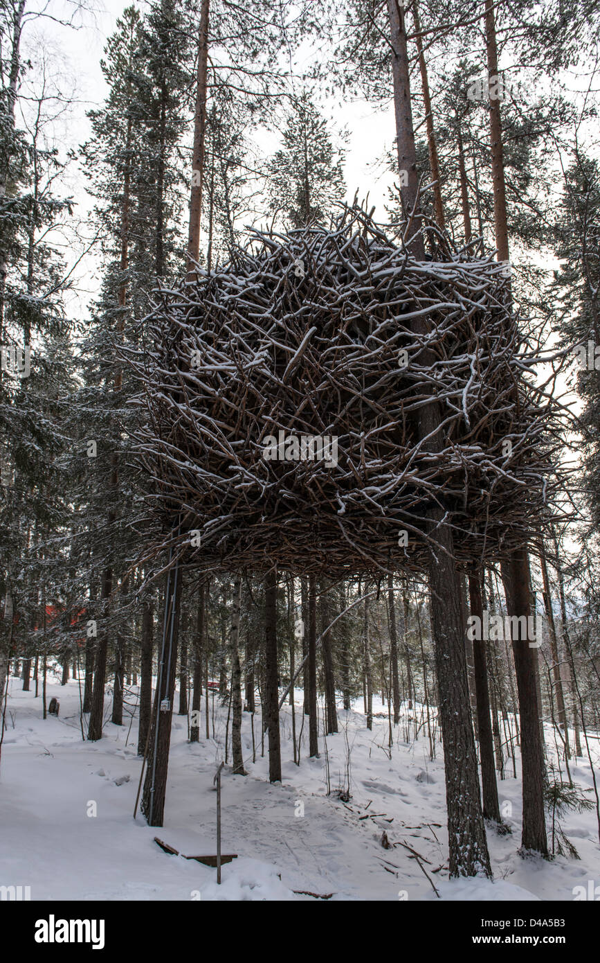 The Bird's Nest Treehotel Harads Lapland Sweden Scandinavia Stock Photo ...