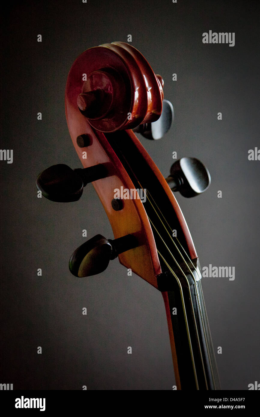 Musical instrument - violoncello Stock Photo - Alamy
