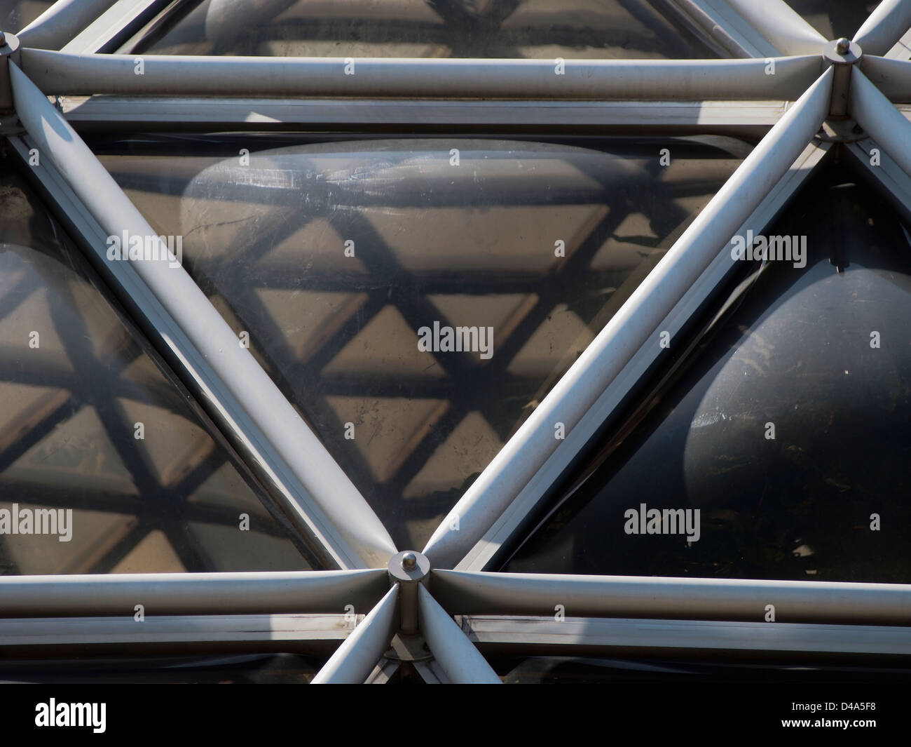 ROOF DETAIL OF TROPICAL DOME BRISBANE MT COOT-THA BOTANICAL GARDEN ...