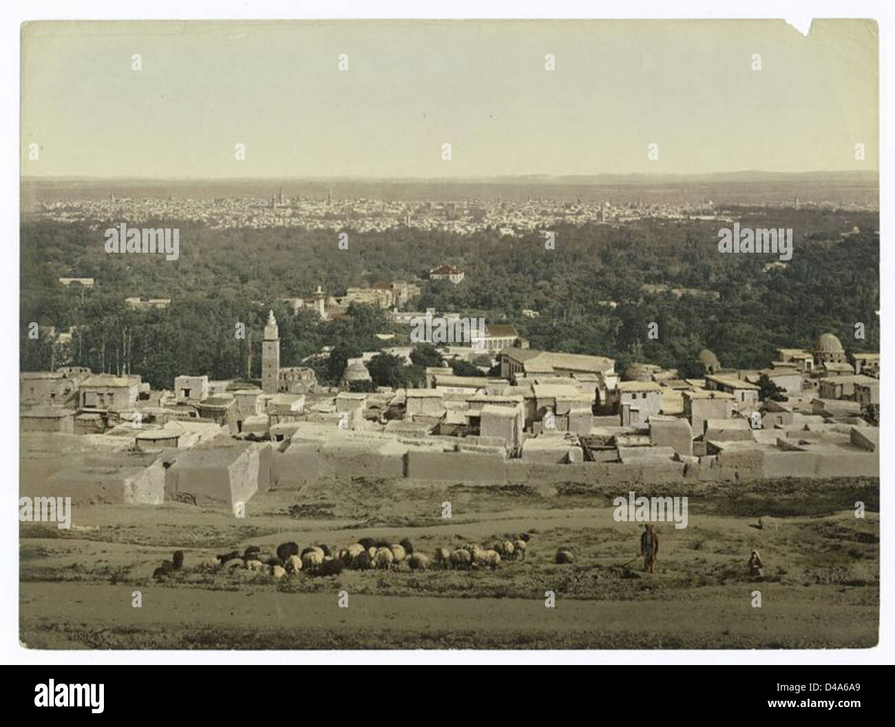 Damas 1 hi-res stock photography and images - Alamy