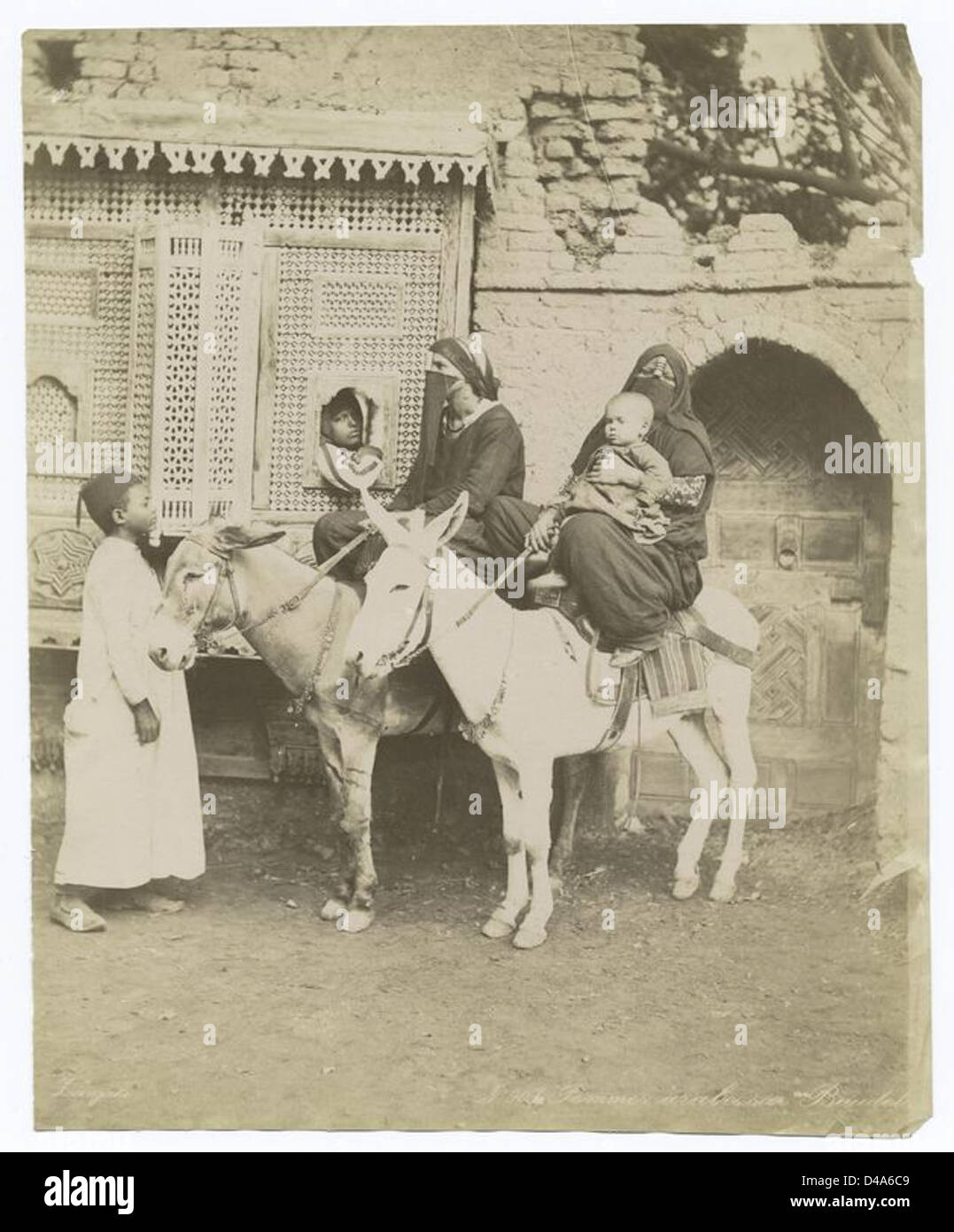 Baudets hi-res stock photography and images - Alamy