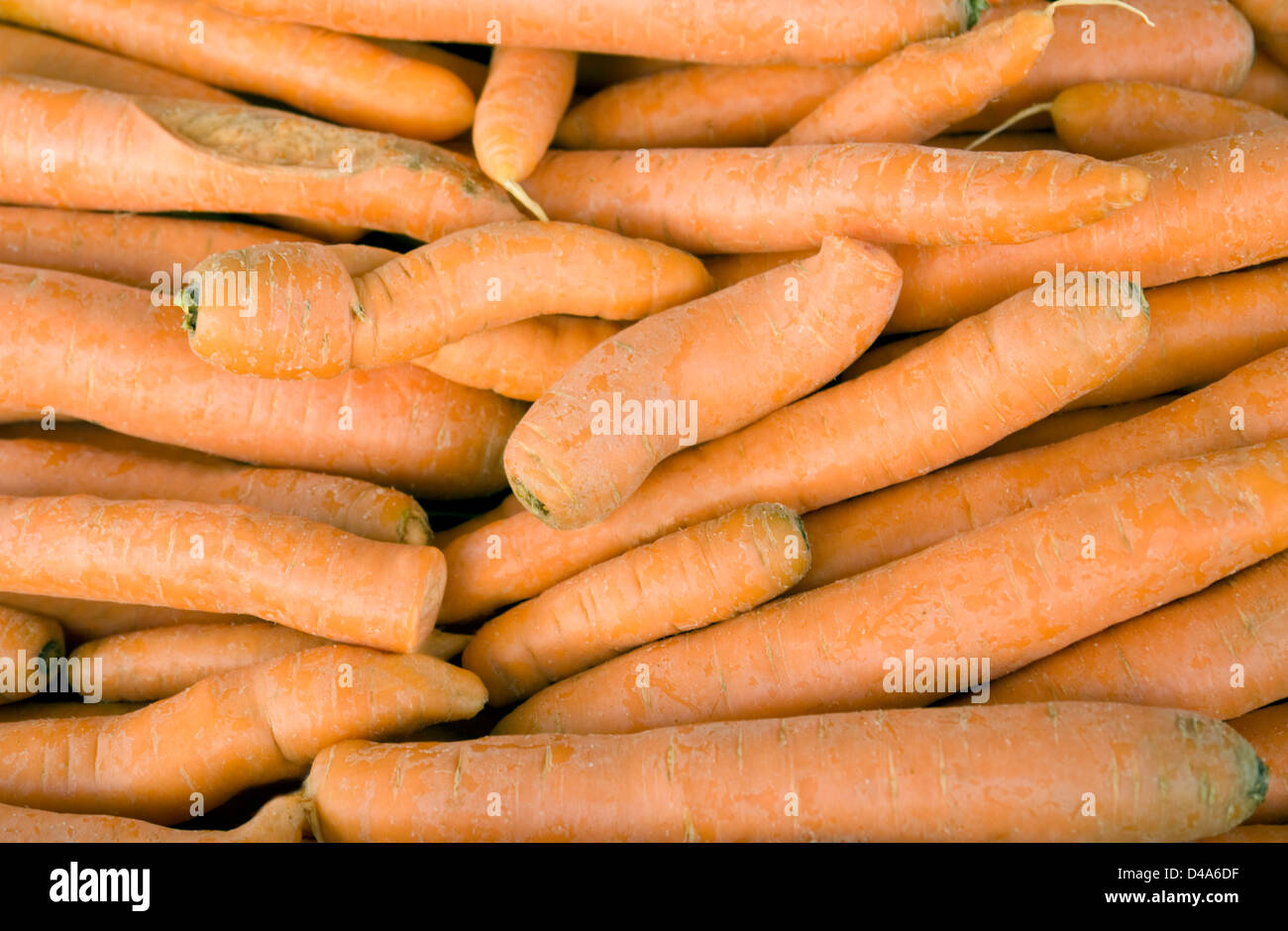 full frame background with lots of raw carrots Stock Photo - Alamy