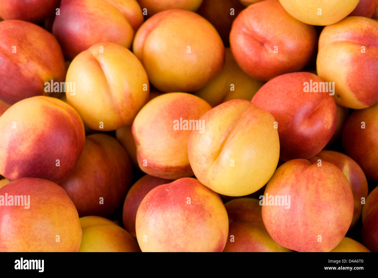 full frame background with lots of fresh nectarines Stock Photo - Alamy