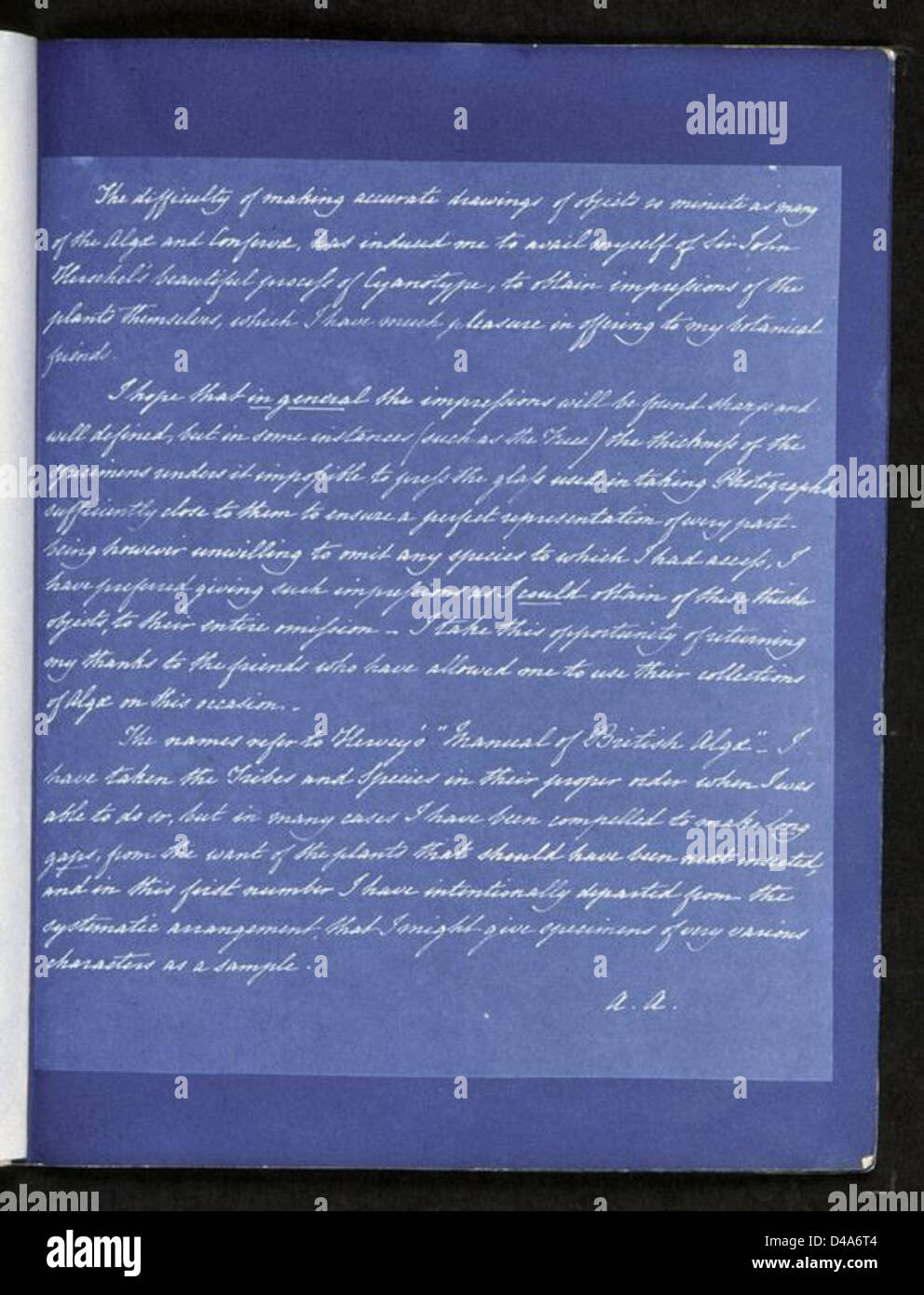 Cyanotypes Stock Photos & Cyanotypes Stock Images - Alamy