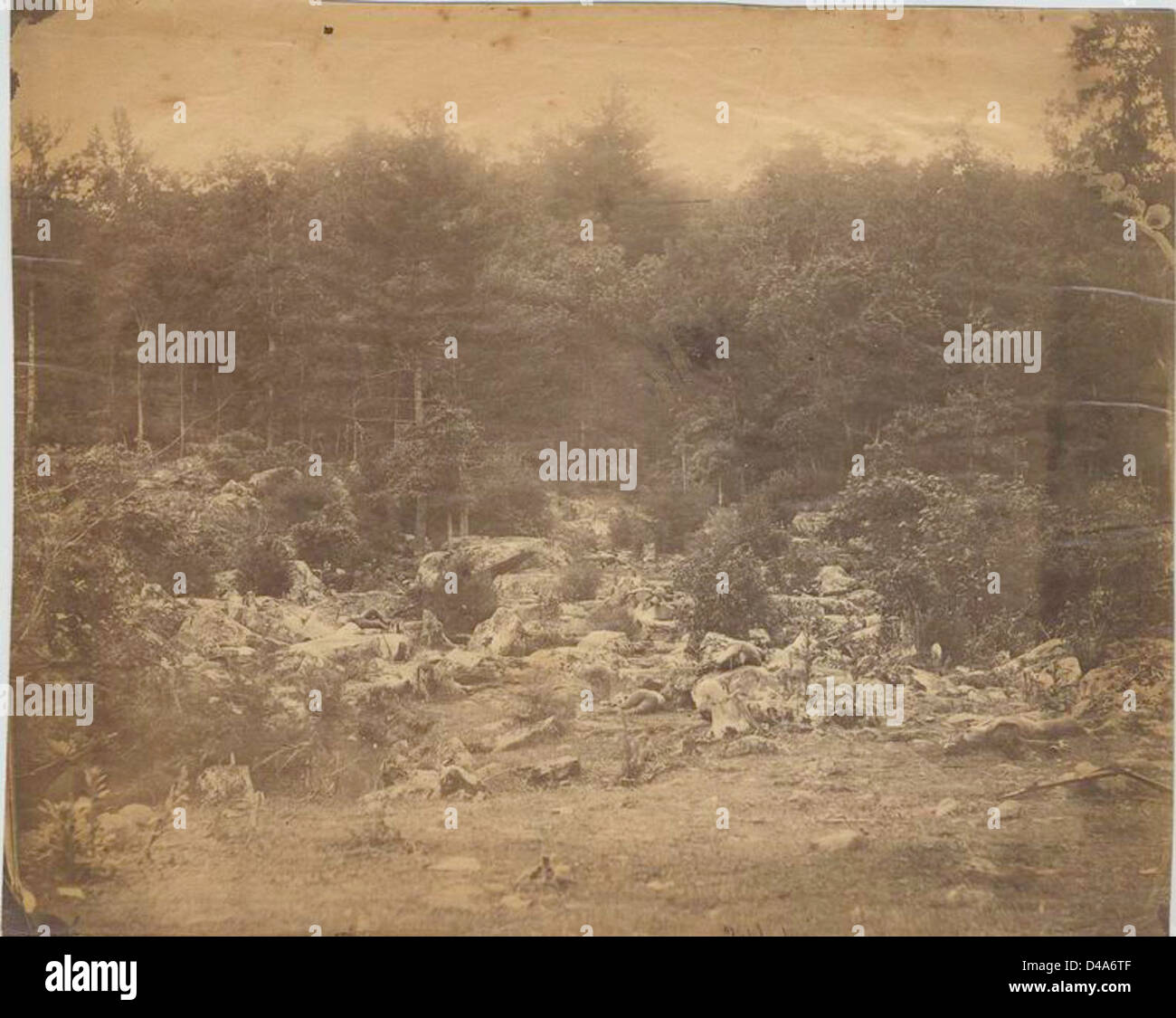 A photograph taken by Alexander Gardner during the Civil War, showing ...