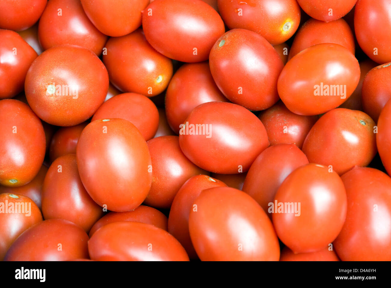 full frame background with lots of fresh red tomatoes Stock Photo - Alamy