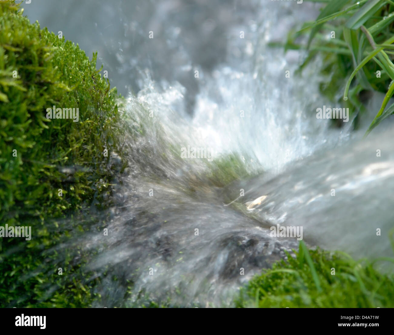 freshnes theme with detail of a fount with splashing water and moss ...