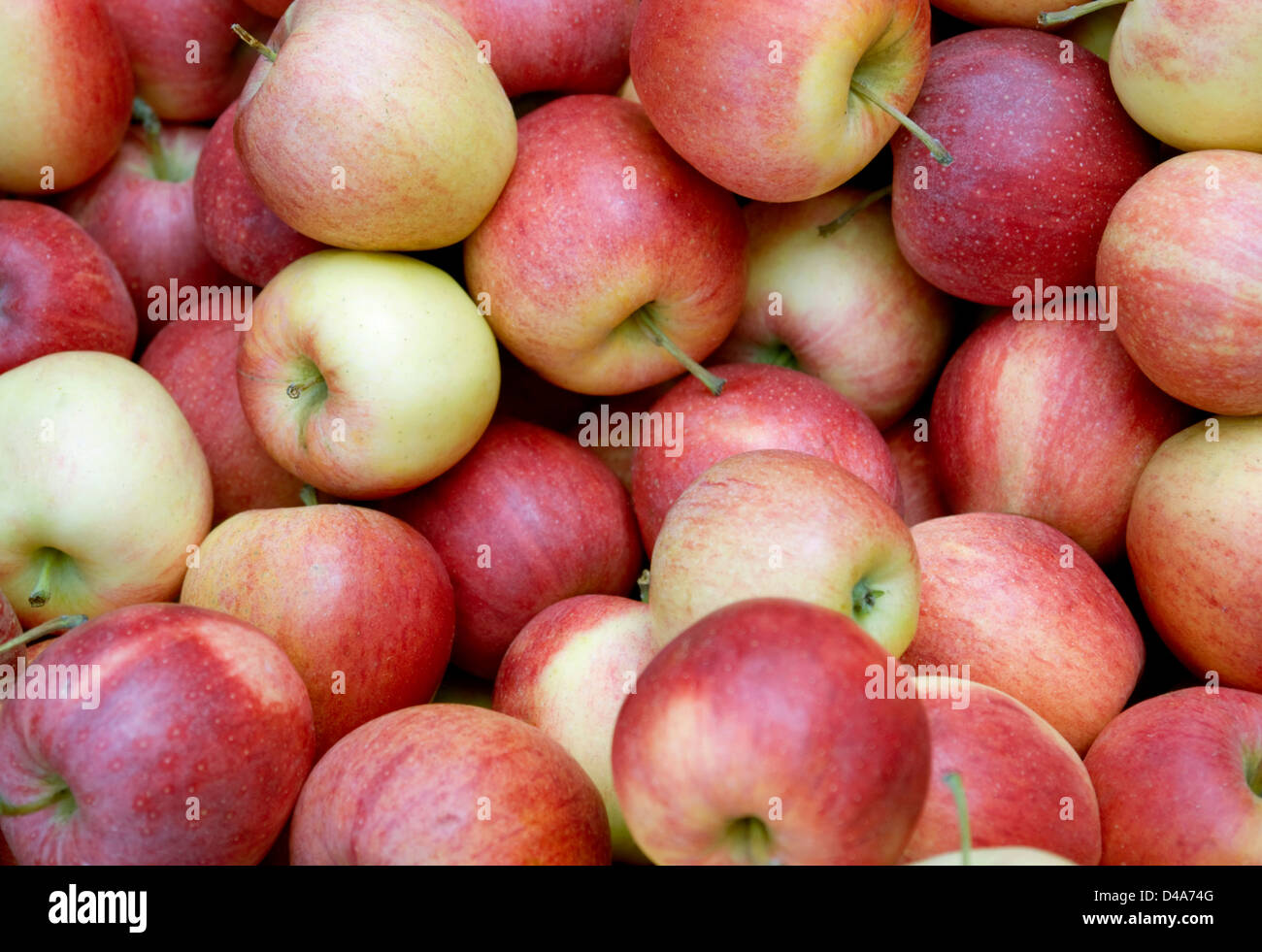 background with lots of red apples Stock Photo - Alamy