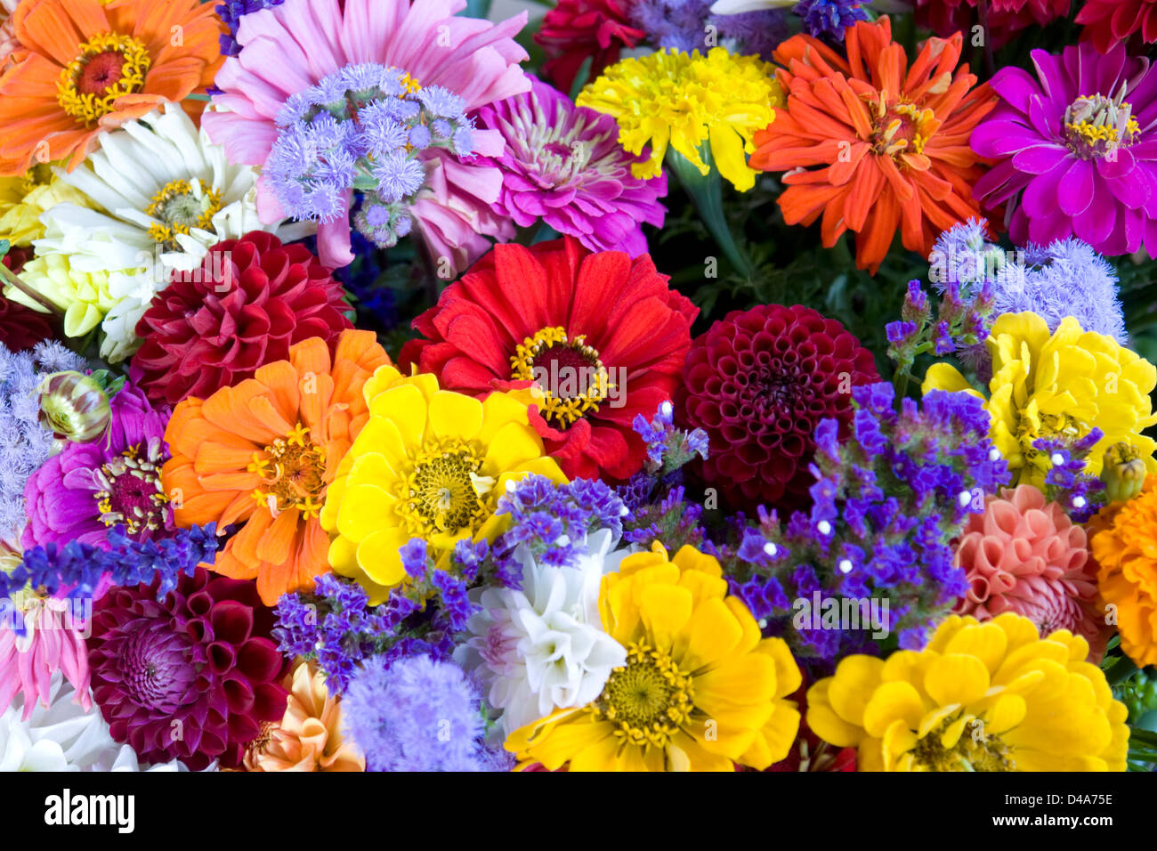 full frame detail of a colorful bunch of various flowers Stock Photo ...