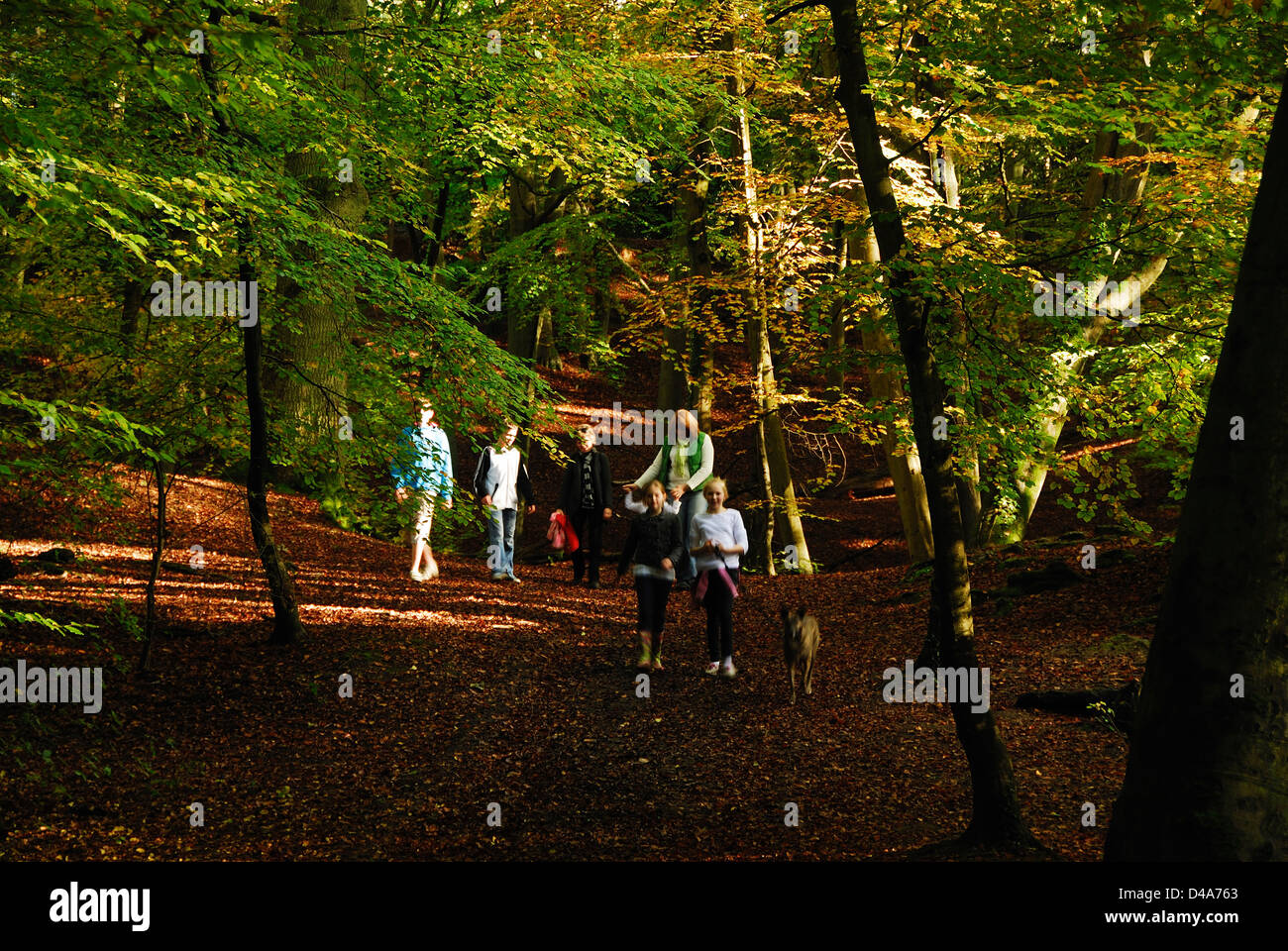 A family going for a walk at Burnham Beeches Stock Photo - Alamy