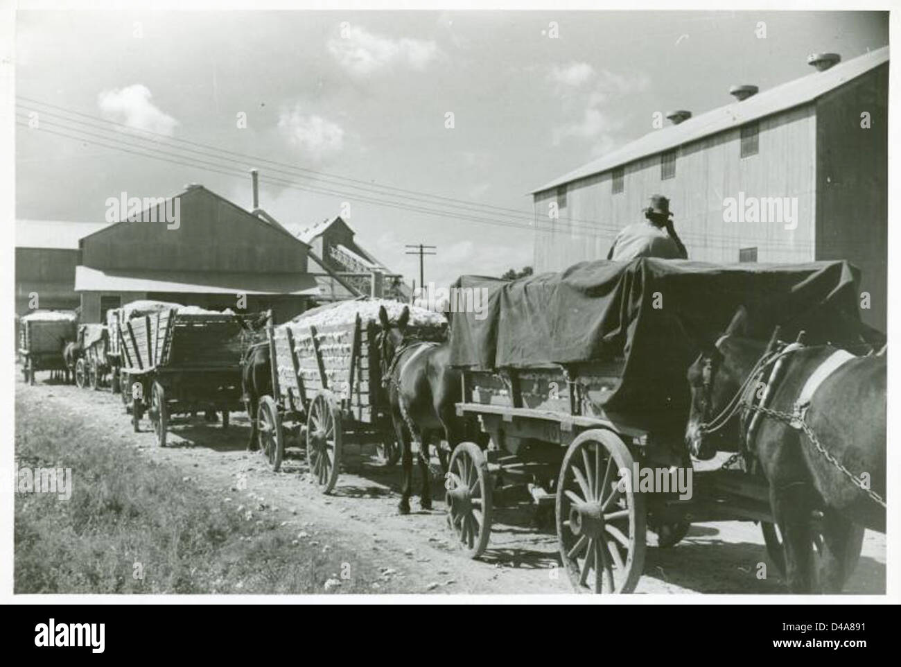 Cotton wagons hi-res stock photography and images - Alamy