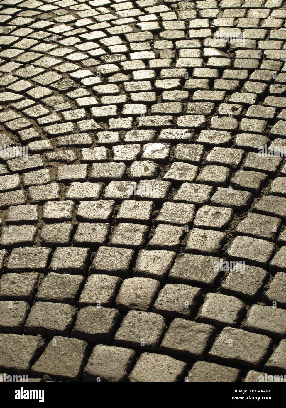Sanpietrino is the element composing this traditional roman paved road ...