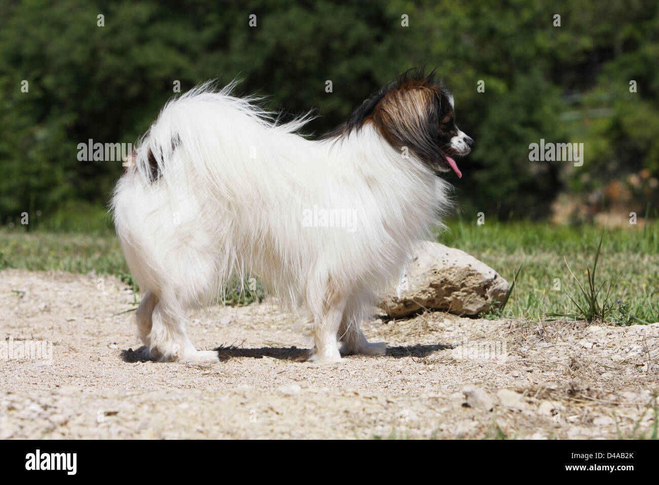 Nain standard hi-res stock photography and images - Alamy