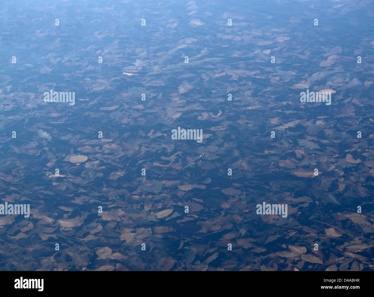 Abstract underwater view sky hi-res stock photography and images - Alamy