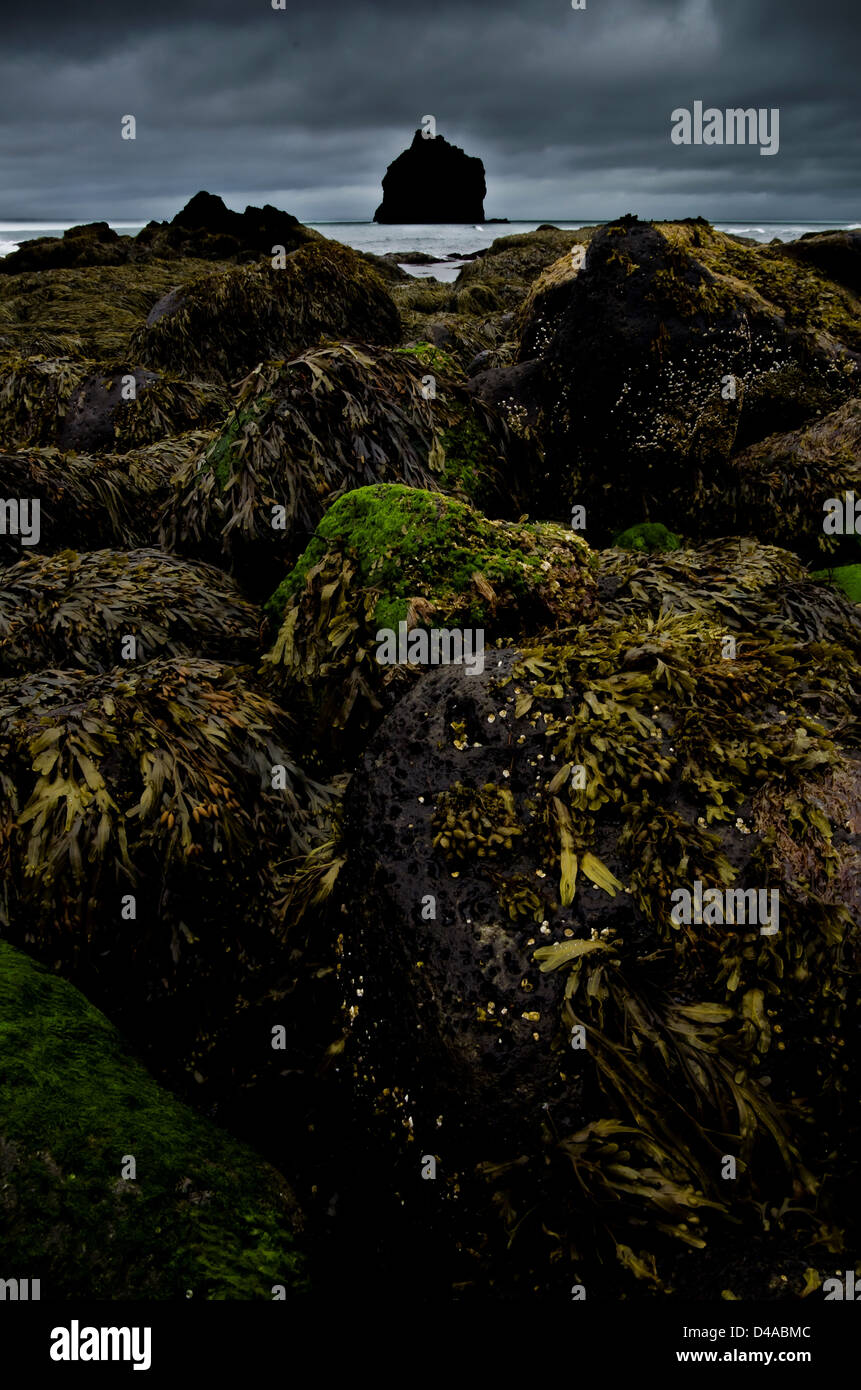 Tide at Reykjanesta at Iceland Stock Photo - Alamy