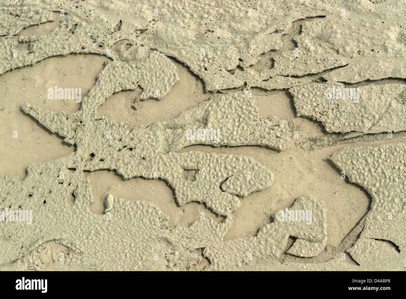 abstract natural background showing organic slime floating on water ...