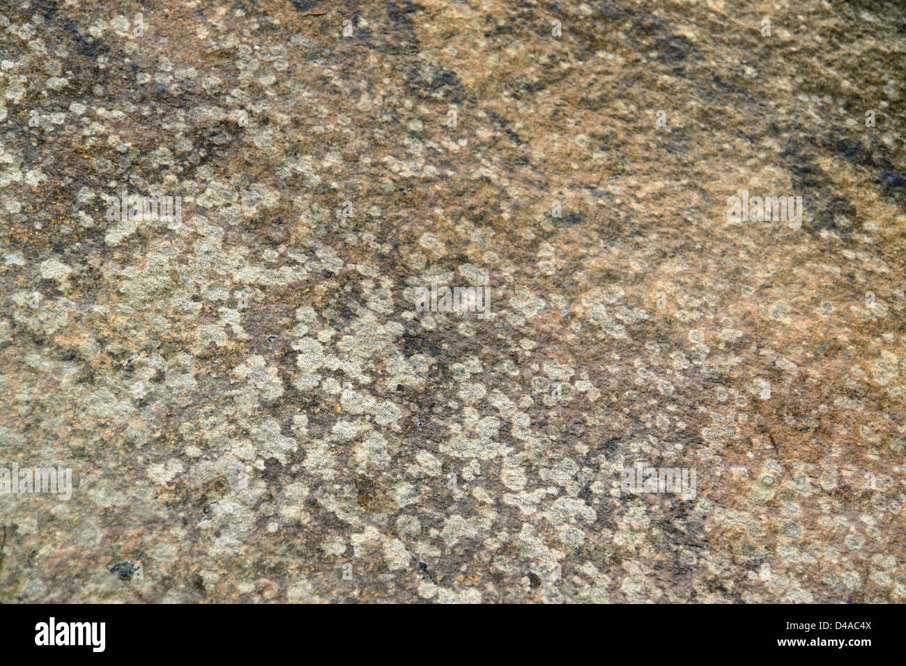 full frame abstract stone surface Stock Photo - Alamy