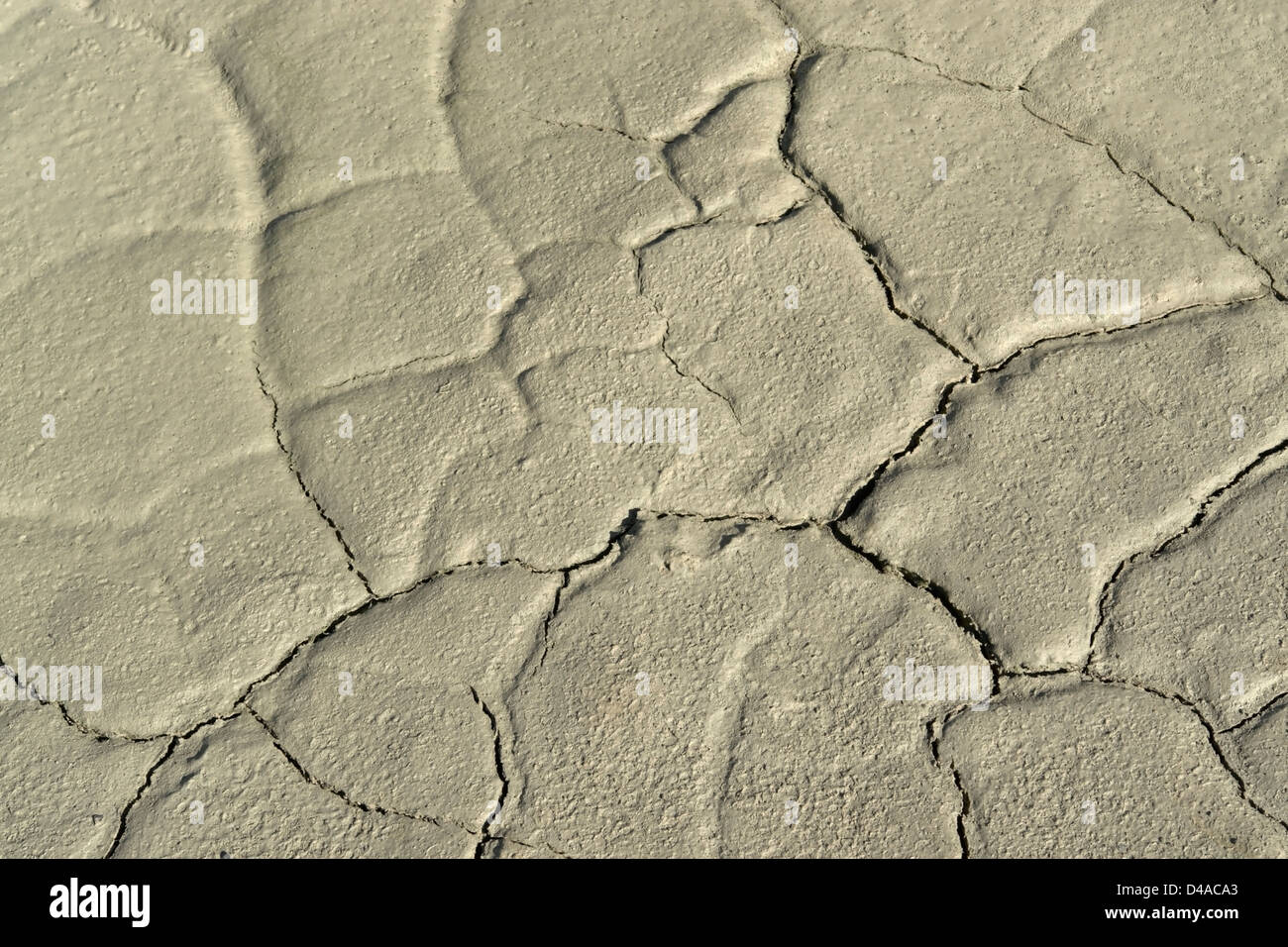 abstract detail of fissured light brown mud Stock Photo - Alamy