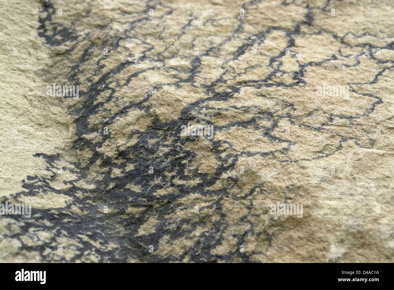 full frame abstract stone surface Stock Photo - Alamy