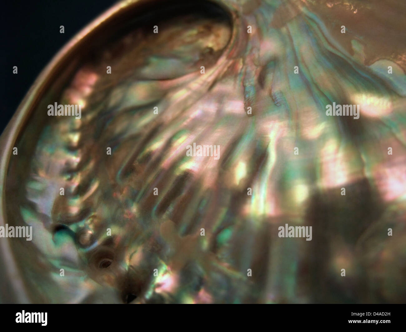 full frame abstract background showing the multicolored nacre sideof a Abalone seashell Stock ...