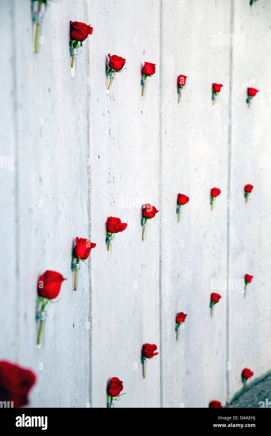 Red roses on a white wall Stock Photo - Alamy