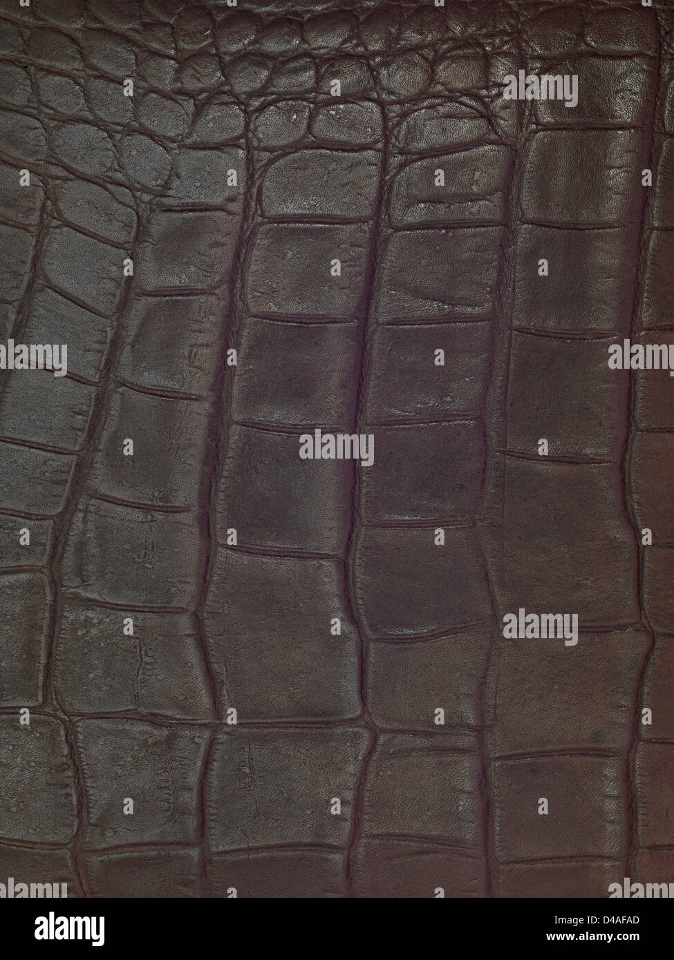 Close up white leather hide hi-res stock photography and images - Alamy