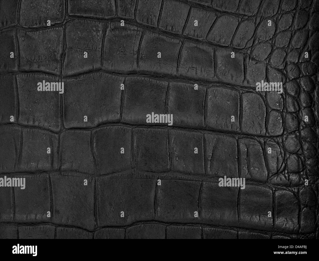 A close up shot of leather hide Stock Photo - Alamy