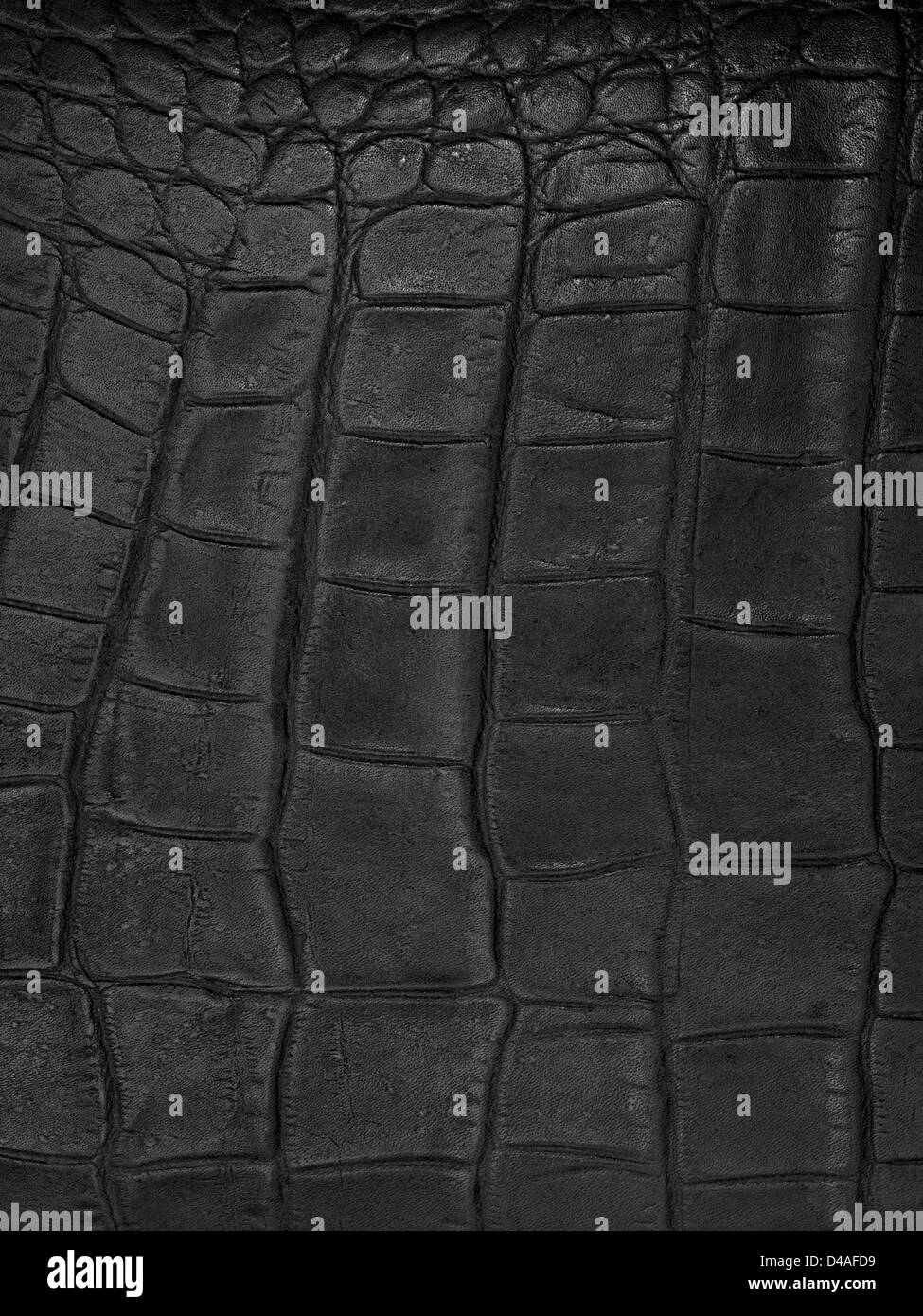 Brown leather frame Black and White Stock Photos & Images - Alamy