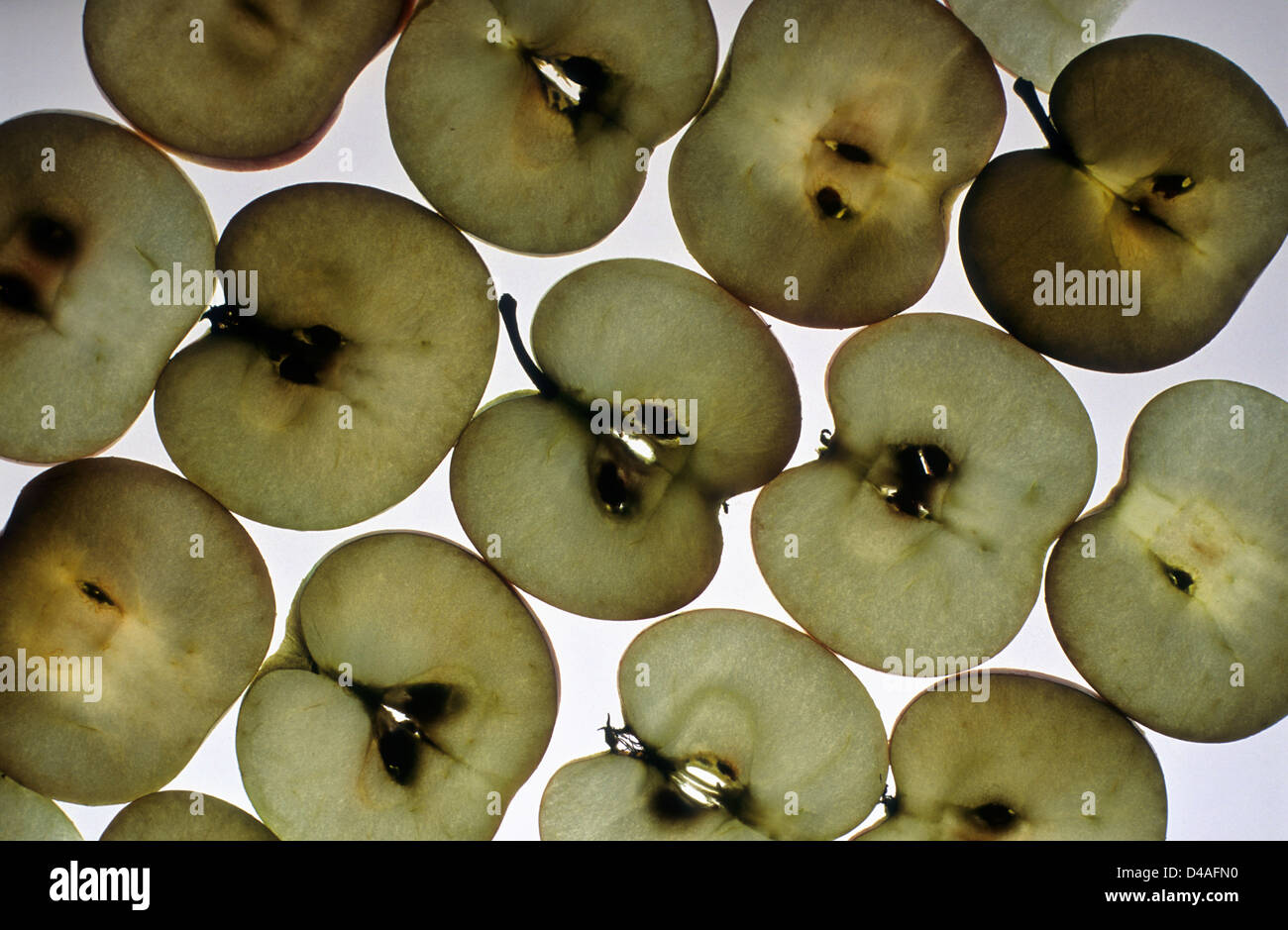 Cross sections hi-res stock photography and images - Alamy