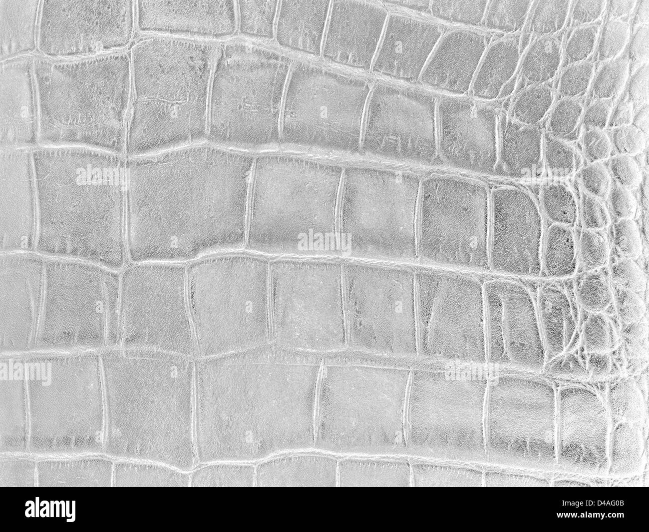 A close up shot of leather hide Stock Photo - Alamy