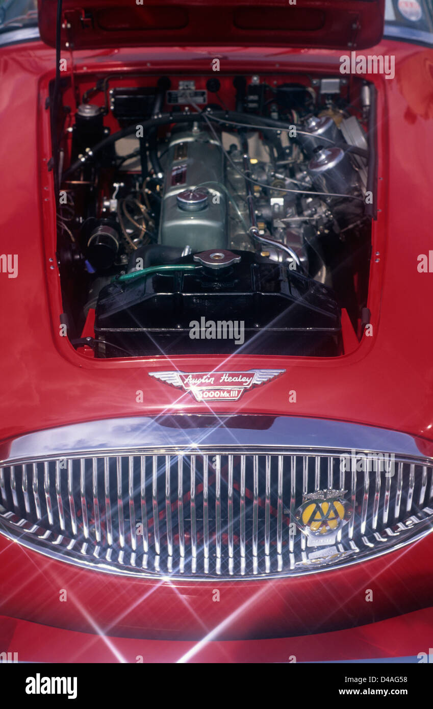 Cars, Classic, Austin Healey Mk. III, view of engine Stock Photo - Alamy