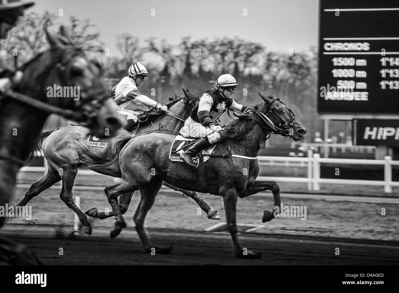 Racing horse Black and White Stock Photos & Images - Alamy