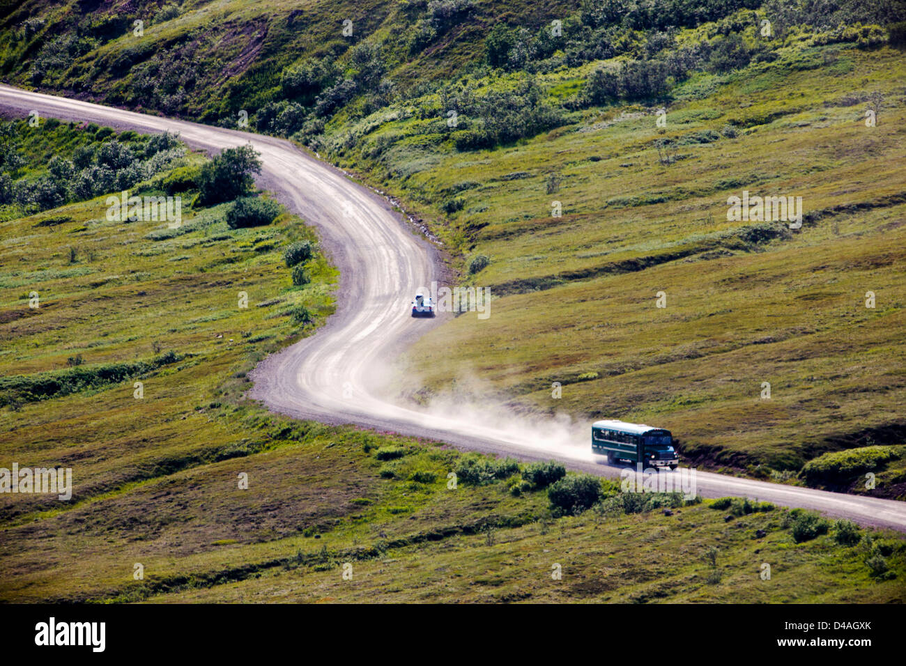 Buses shuttle visitors on the limited access Denali Park Road, Denali ...