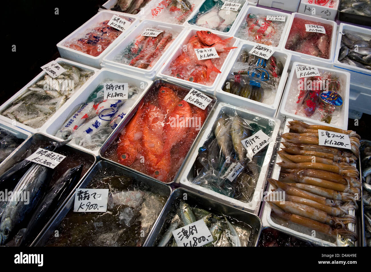 A variety of fresh fish for sale in the retail section at Tsukiji ...