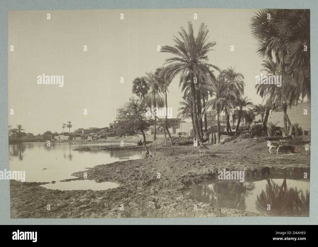 A view of Luxor, Egypt, showcasing the Nile River, nearby palm trees ...
