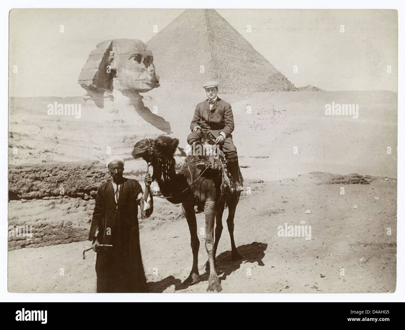A photograph from the 1860s showing camels in the desert near the Great ...