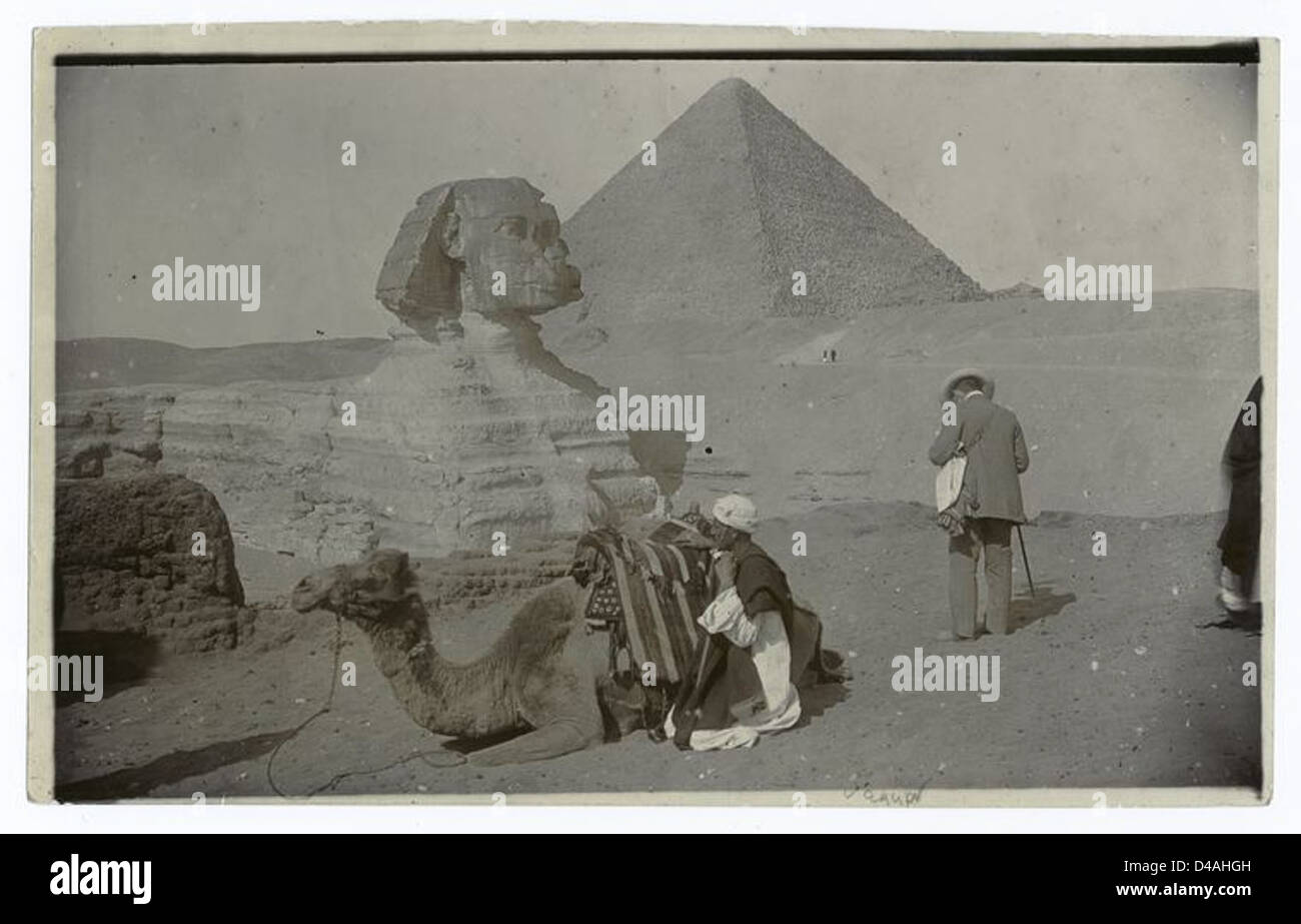 This image depicts camels near the Great Sphinx and the Pyramids of ...