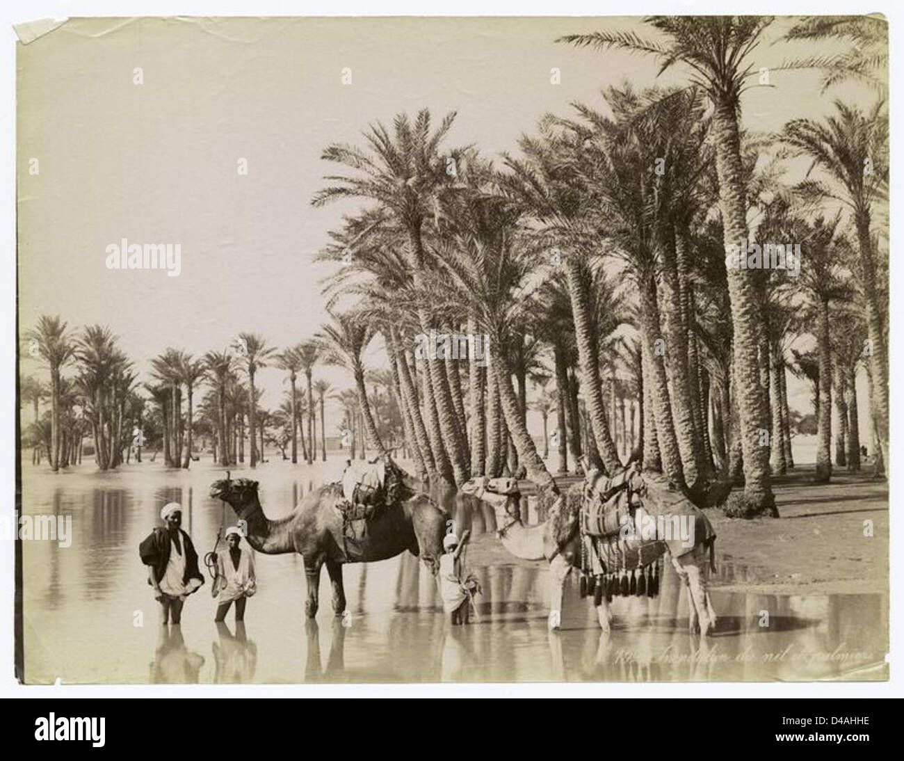 Flooding nile hi-res stock photography and images - Alamy