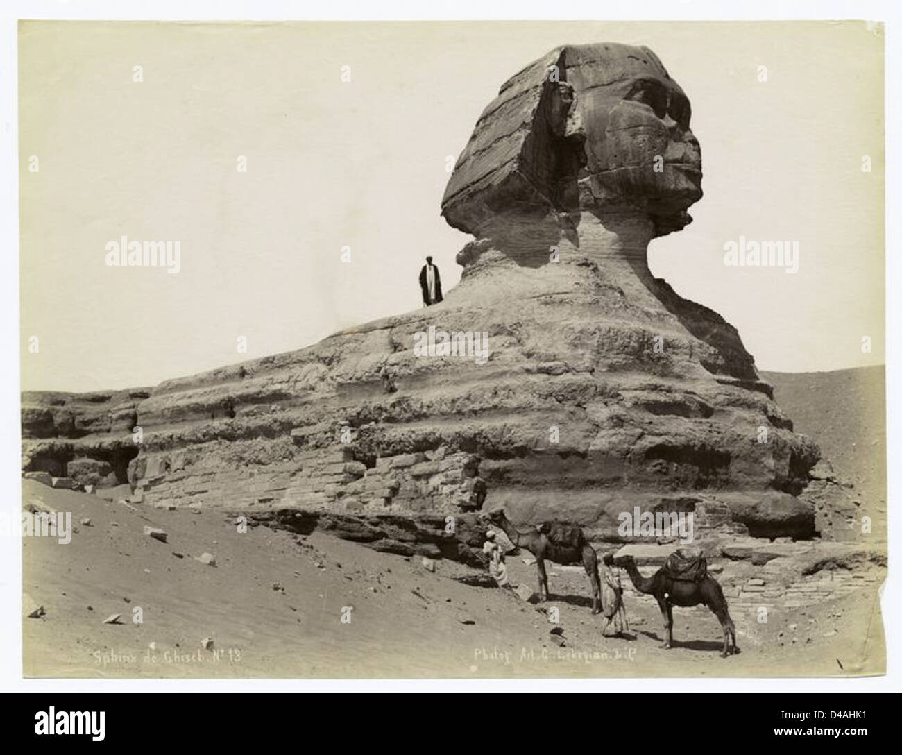 The Sphinx of Giza, accompanied by camels in a 1860 photograph ...