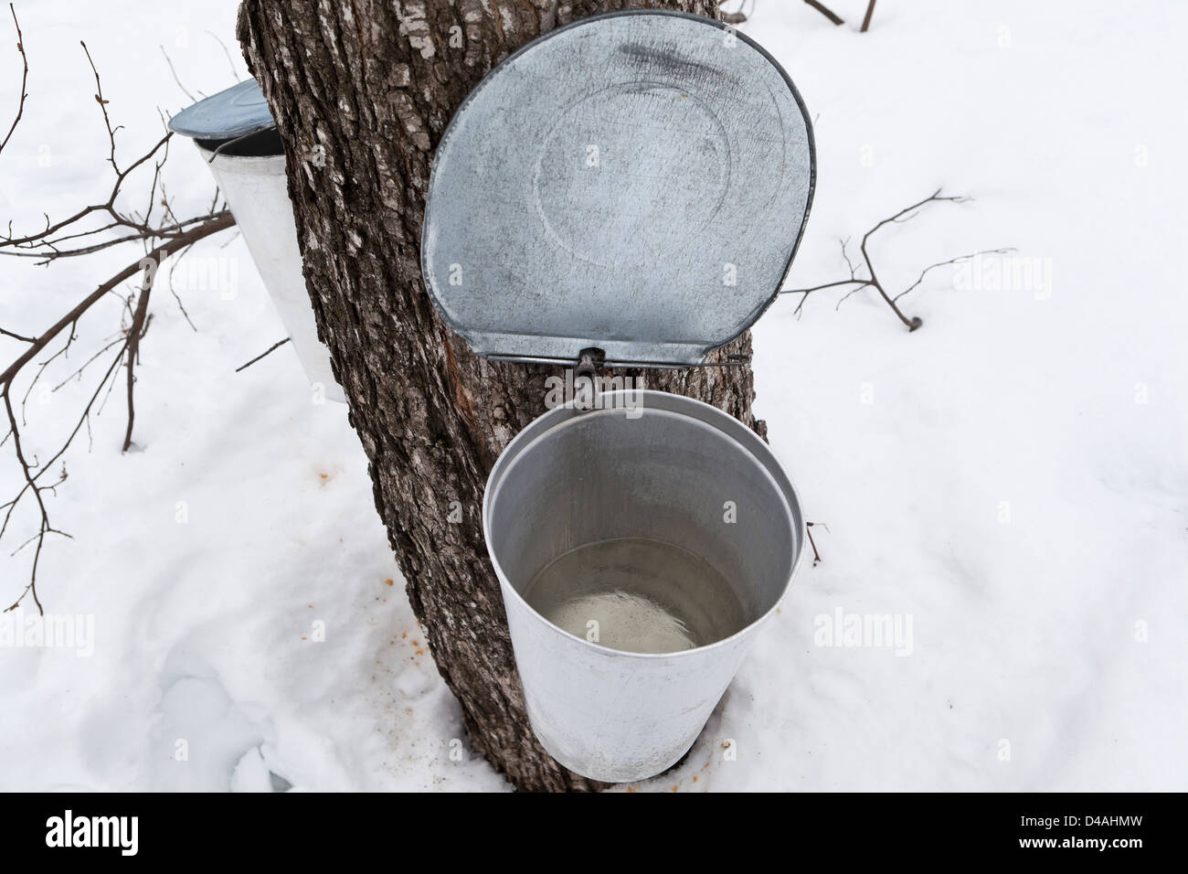 Collecting Bucket Stock Photos & Collecting Bucket Stock Images - Alamy