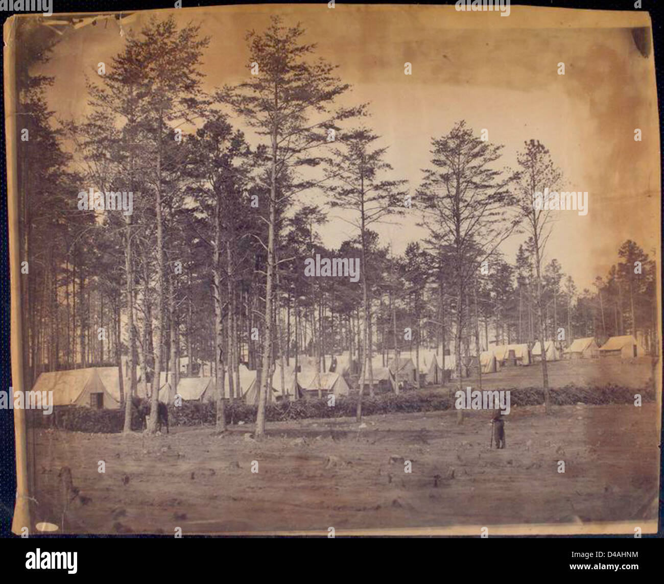 Camp alexander history hi-res stock photography and images - Alamy