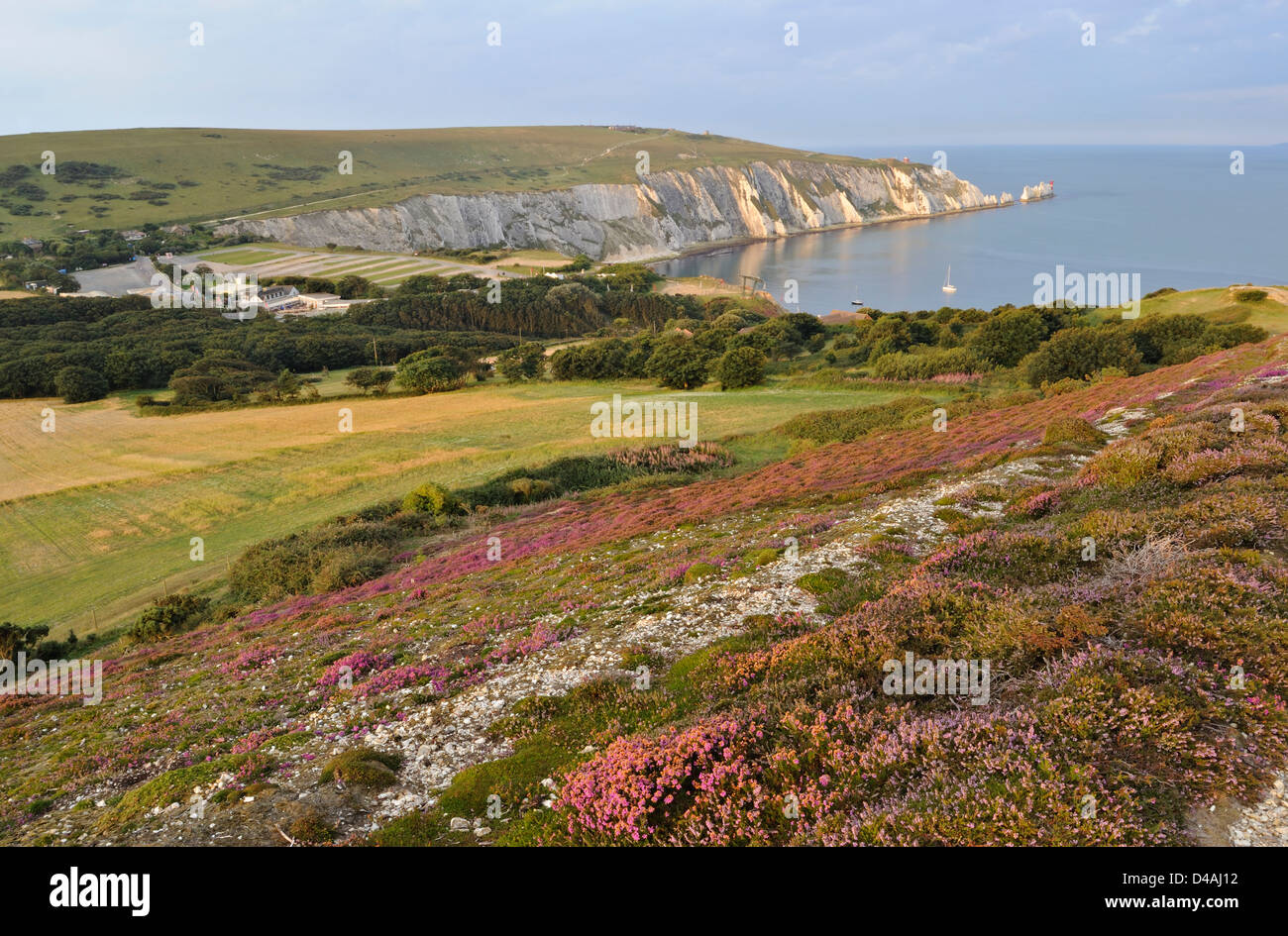 Headon warren isle of wight hi-res stock photography and images - Alamy