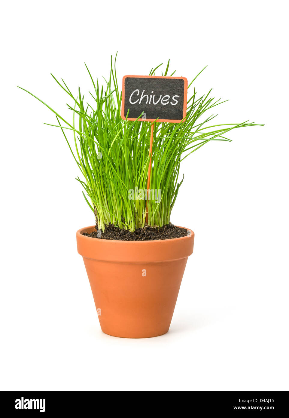 Chives label hi-res stock photography and images - Alamy