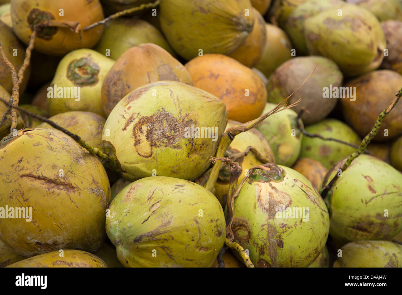 Heap of coconuts hi-res stock photography and images - Alamy