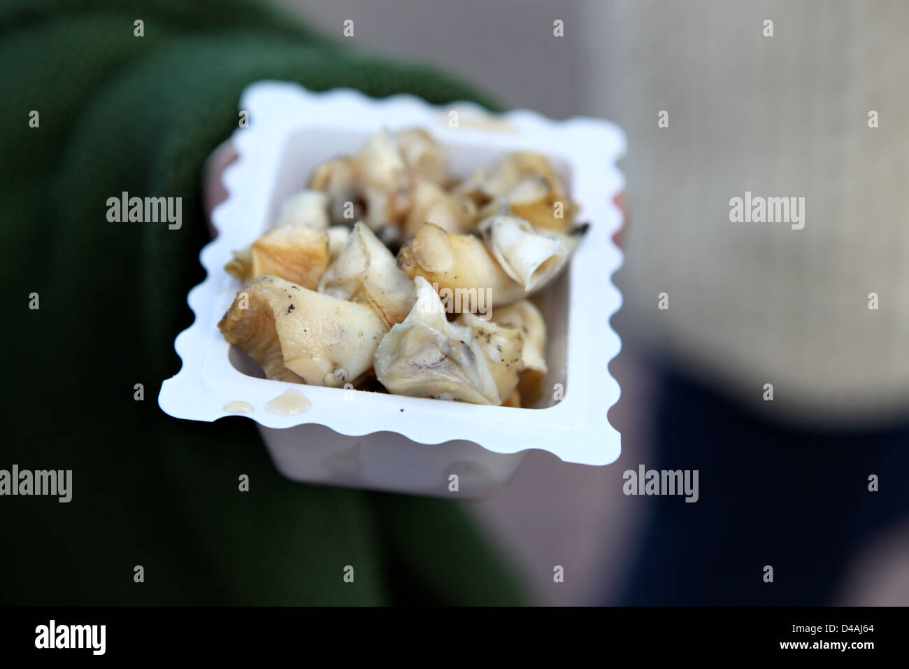 Whelks hi-res stock photography and images - Alamy